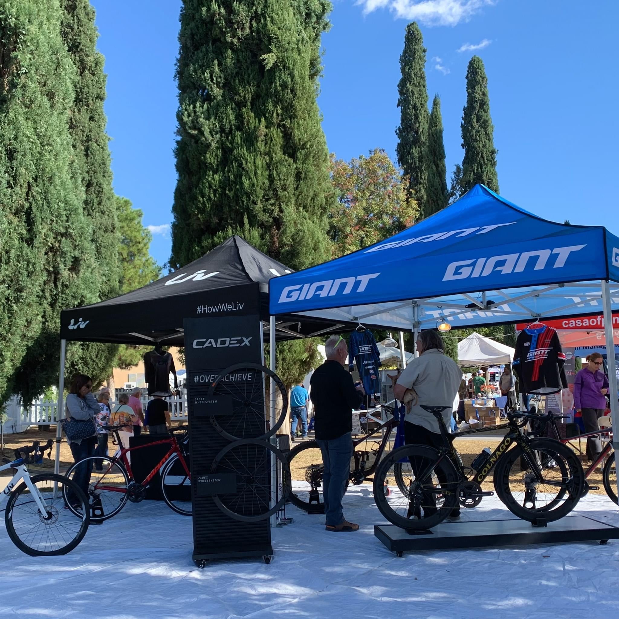 Custom Pop-Up Canopy Tent | Personalized & Branded Canopy USA/Canada ...
